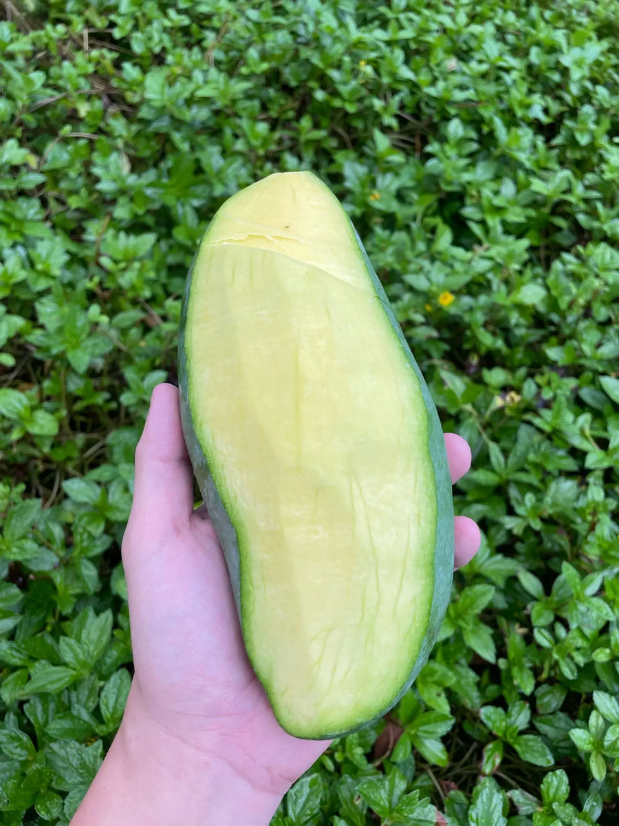Mango King - Freshly Picked – Freshly Picked