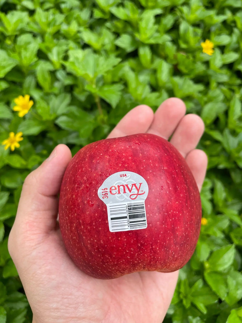 Envy Apple - Premium from USA – Freshly Picked