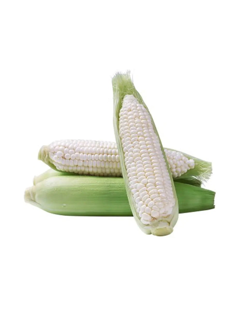 Discover Pearl White Corn: Health and Cooking Benefits – Freshly Picked