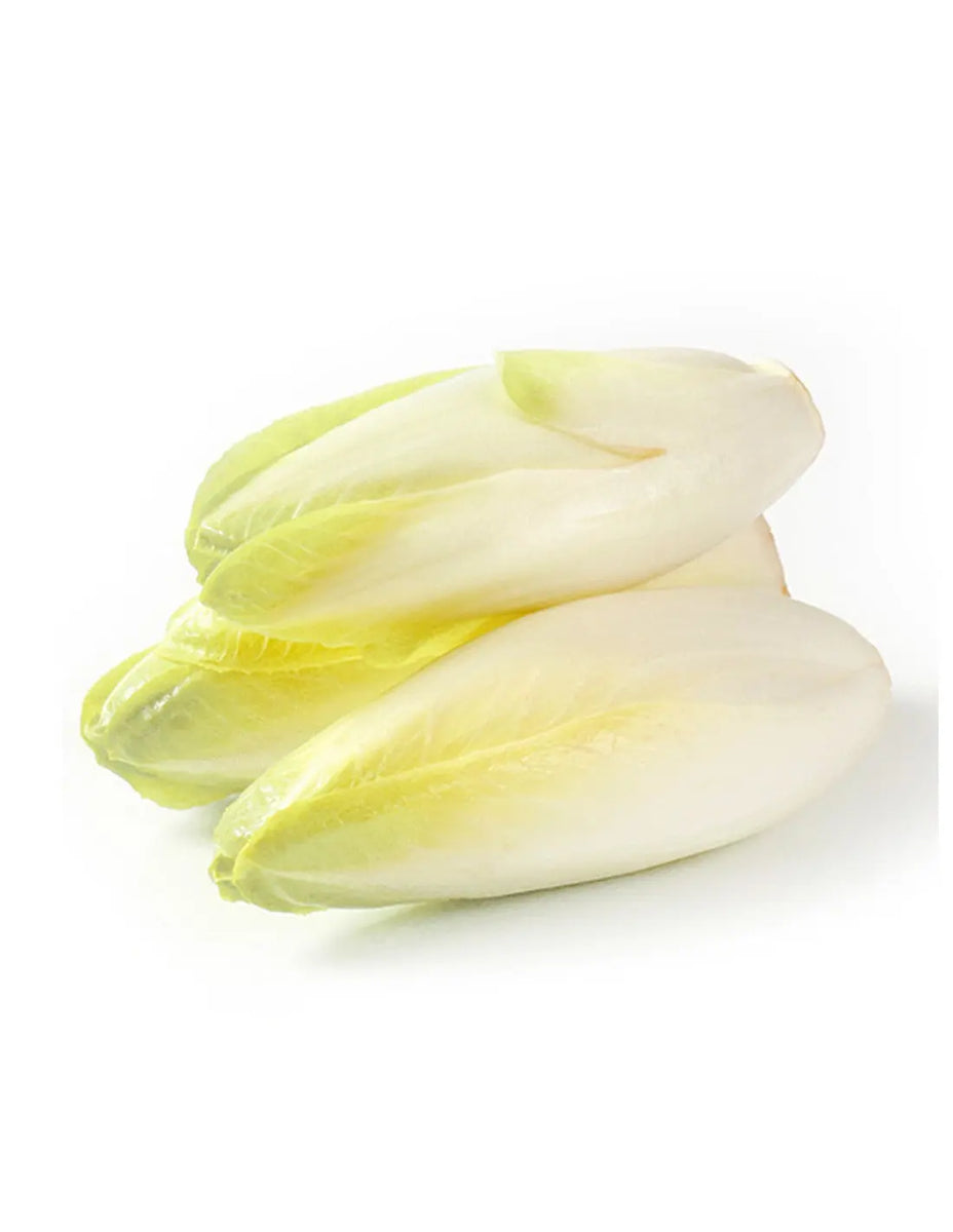 Yellow Endive 300 Gram – Freshly Picked
