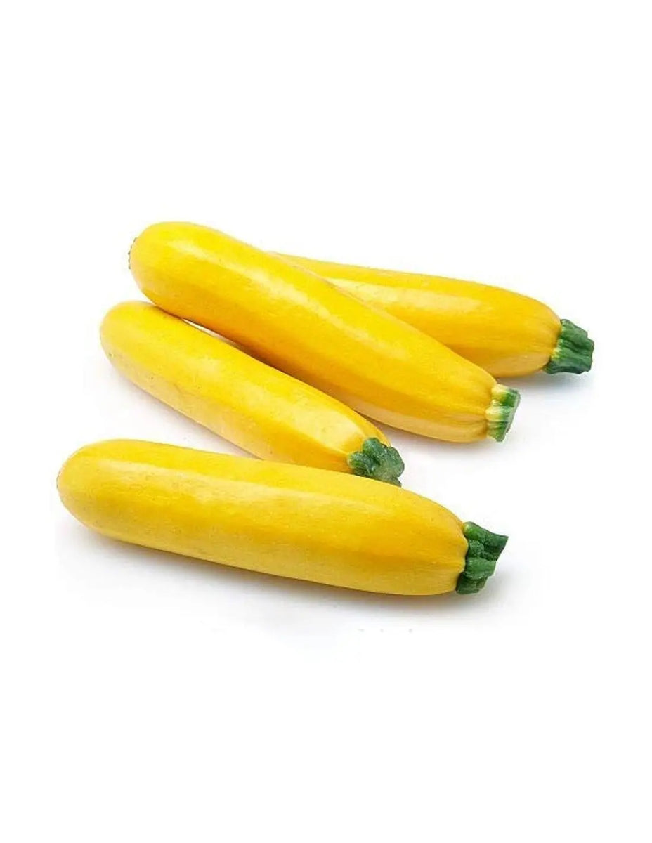 Zucchini Yellow 1 KG – Freshly Picked